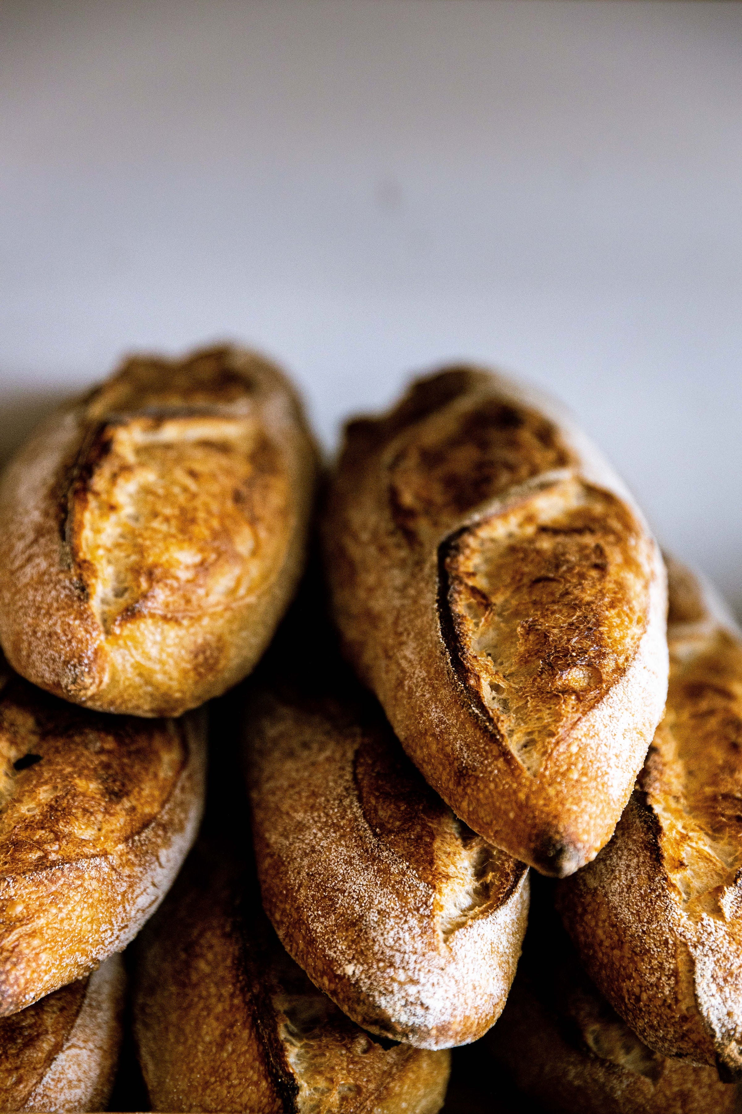 Bread – Bread By Bike